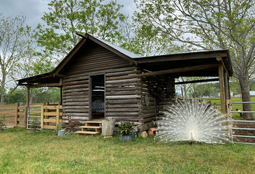 FARM GIFT SHOP – Family Orchard Farms
